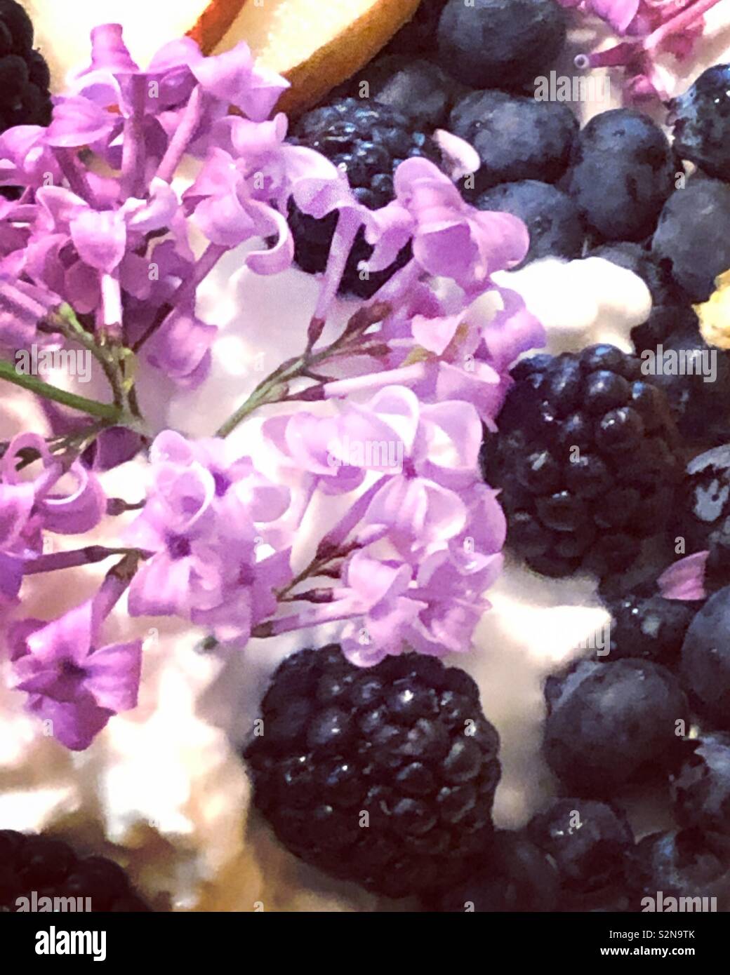 Berries and cottage cheese surrounded by lilac flowers which are edible ...