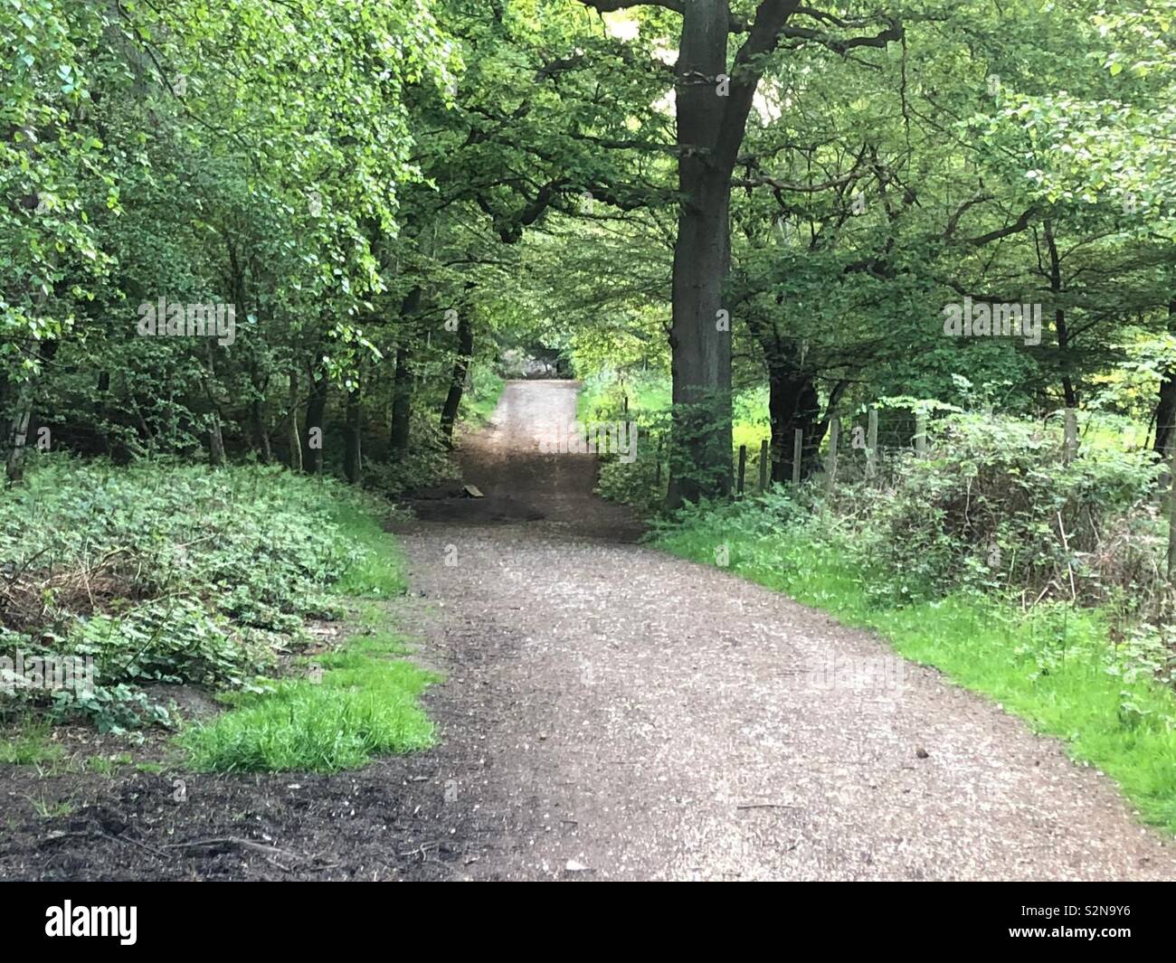 Winding country path Stock Photo - Alamy