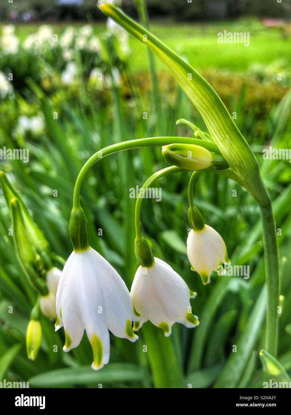 Signs of spring Stock Photo - Alamy