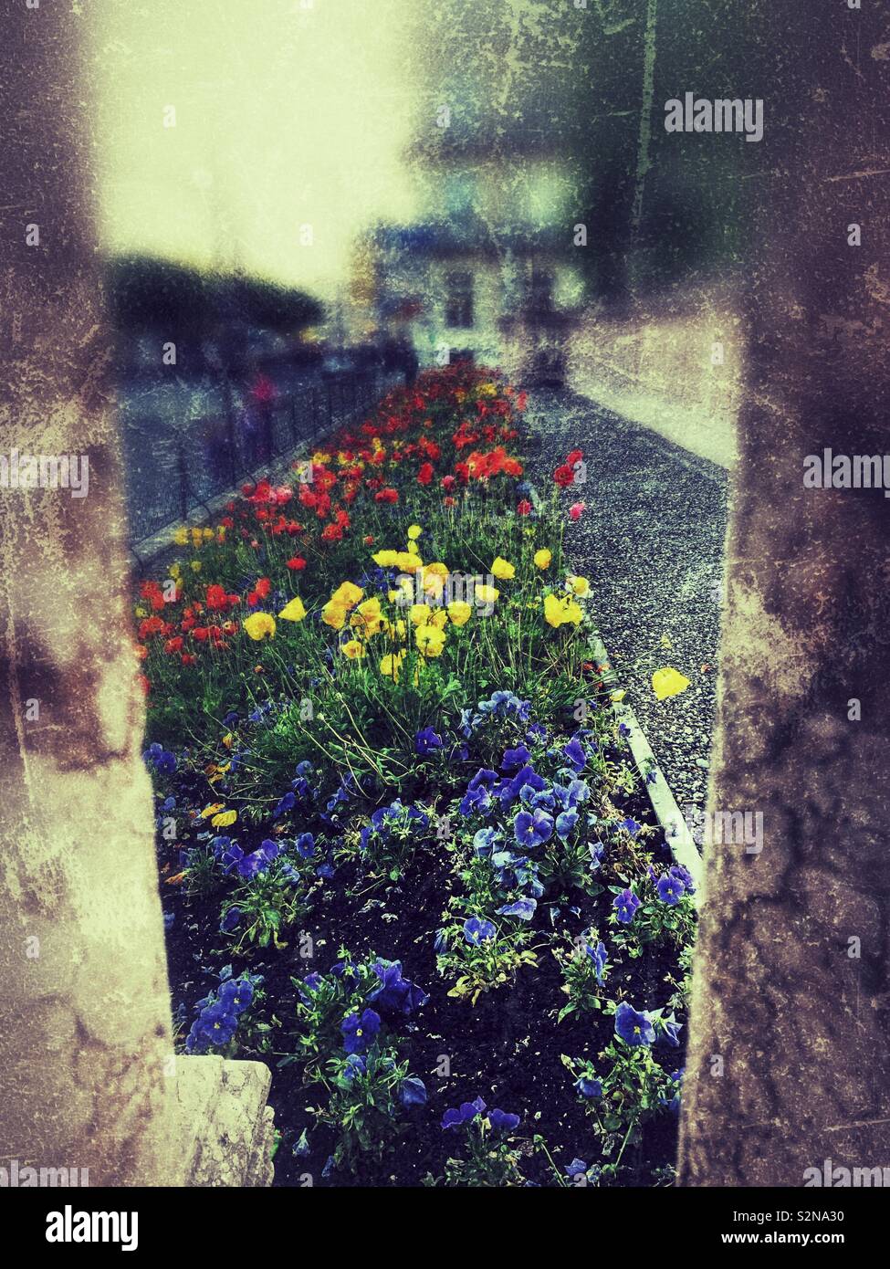 Spring season at Alpes square Geneva - Switzerland Stock Photo - Alamy