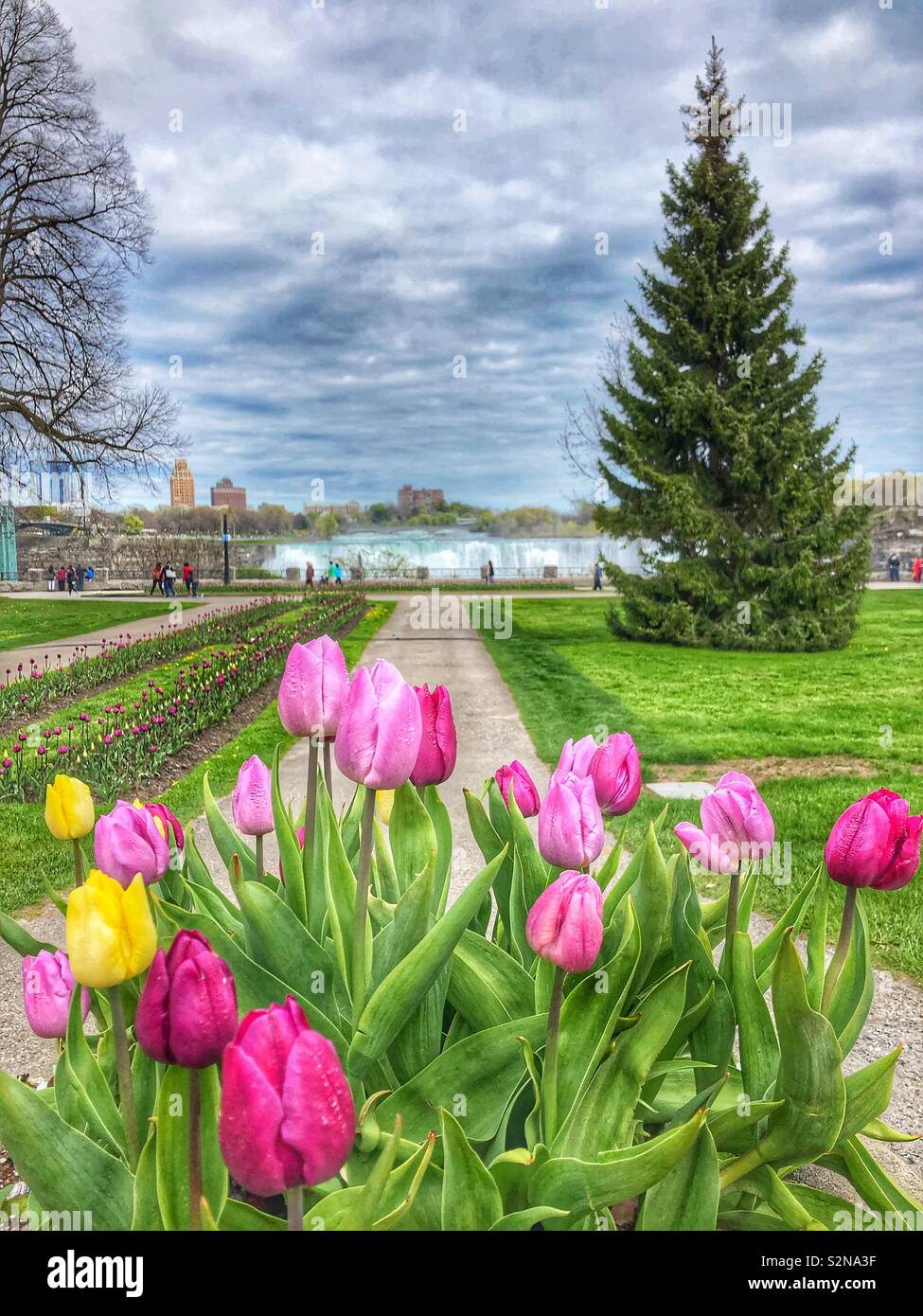 Niagara Falls in the spring Stock Photo - Alamy