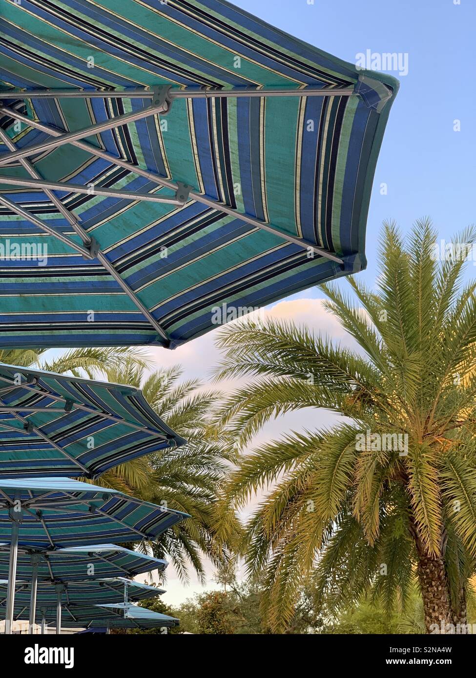 Colorful striped umbrellas with palm trees, tropical Stock Photo - Alamy