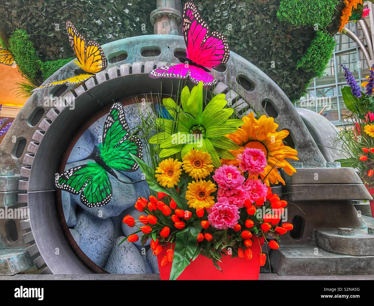 Springtime floral display Stock Photo - Alamy