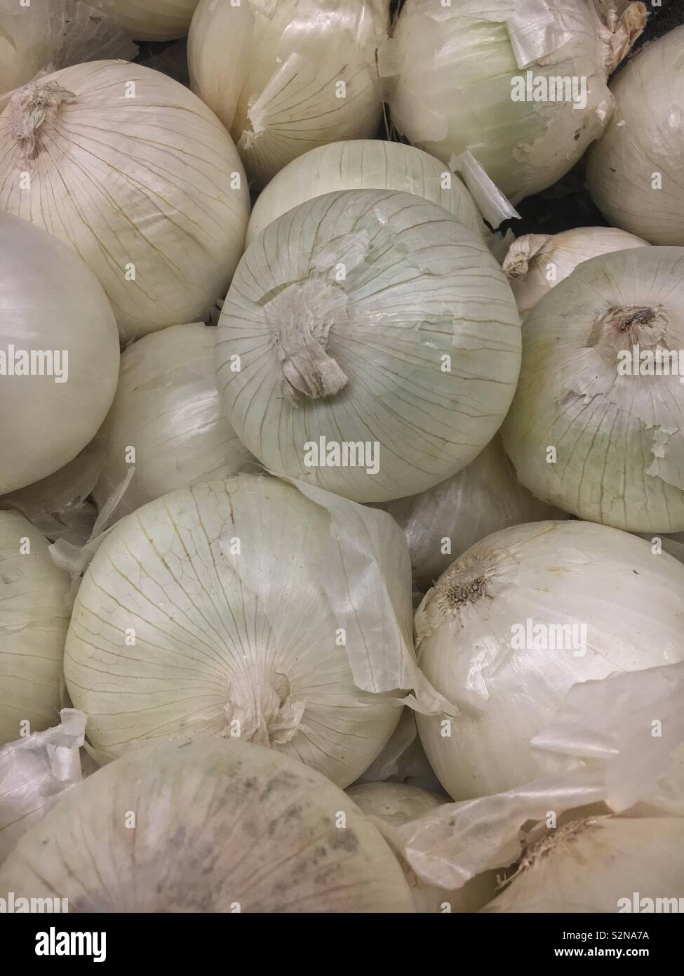 Raw white onions on display and for sale at the local produce market ...