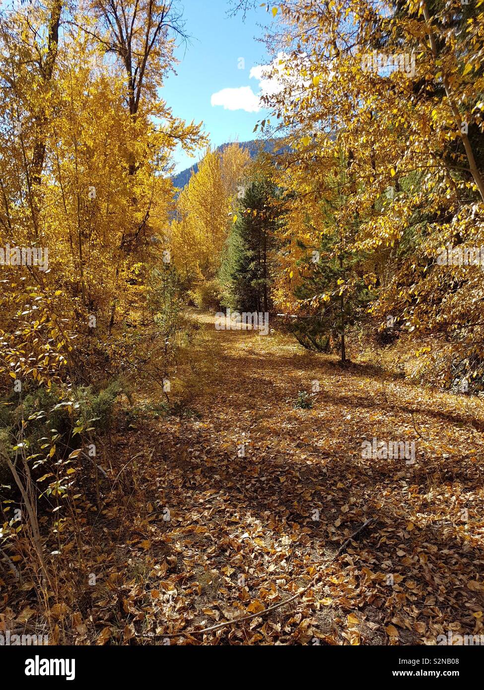 Beautiful fall scenery hi-res stock photography and images - Alamy