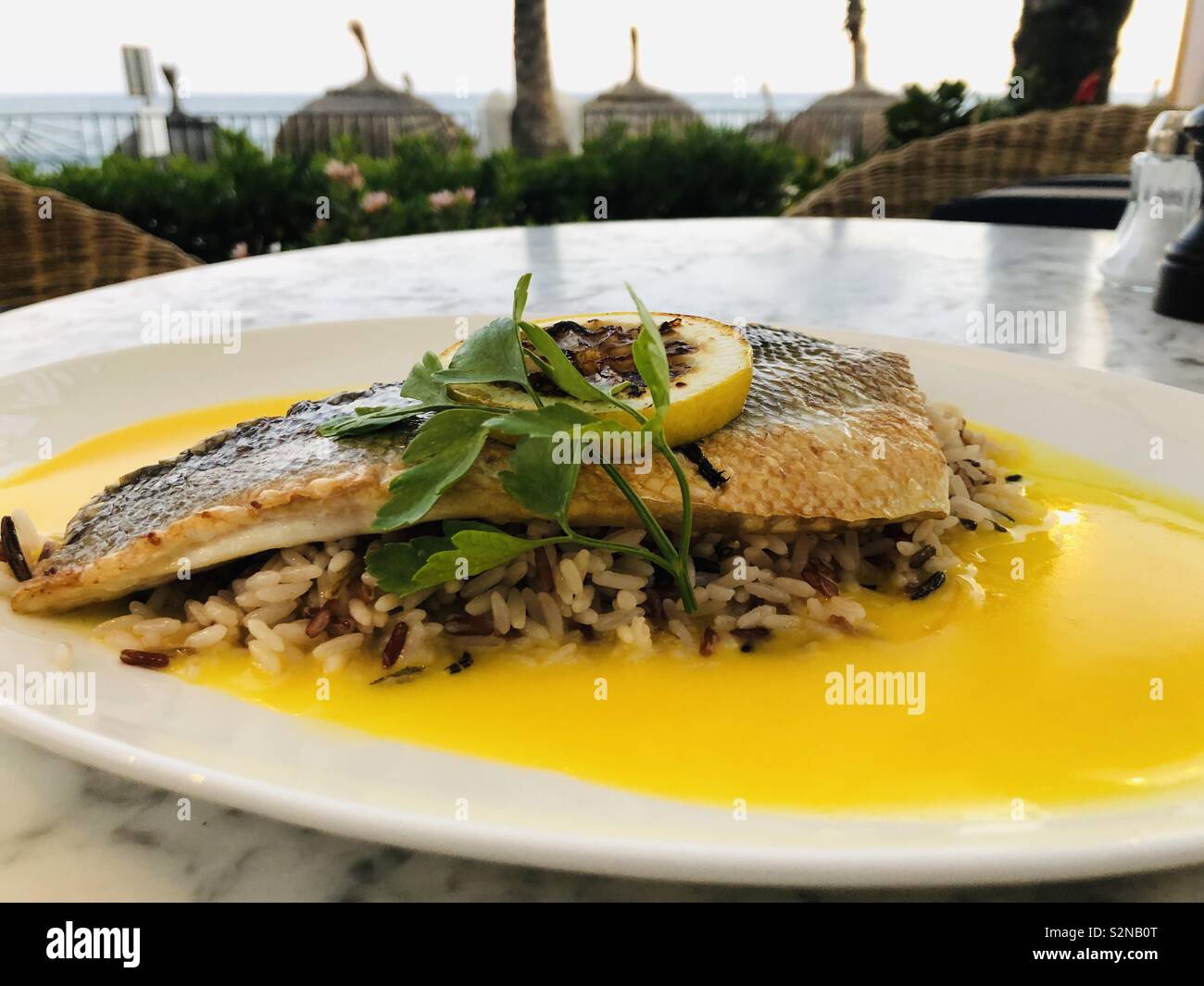 Sea bass with Sicilian lemon sauce and wild rice. Marbella, Spain Stock ...