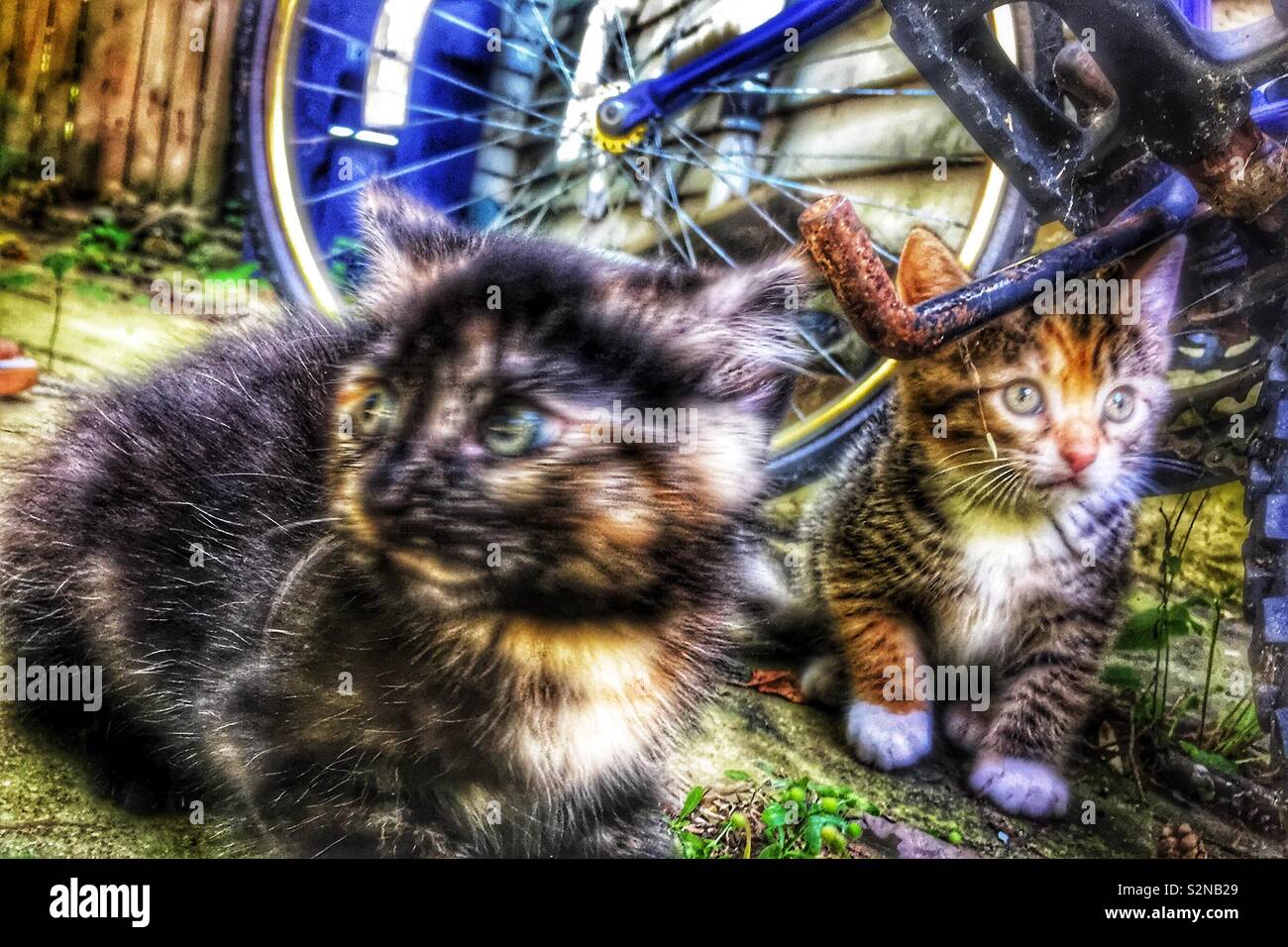 Two cycle hi-res stock photography and images - Alamy