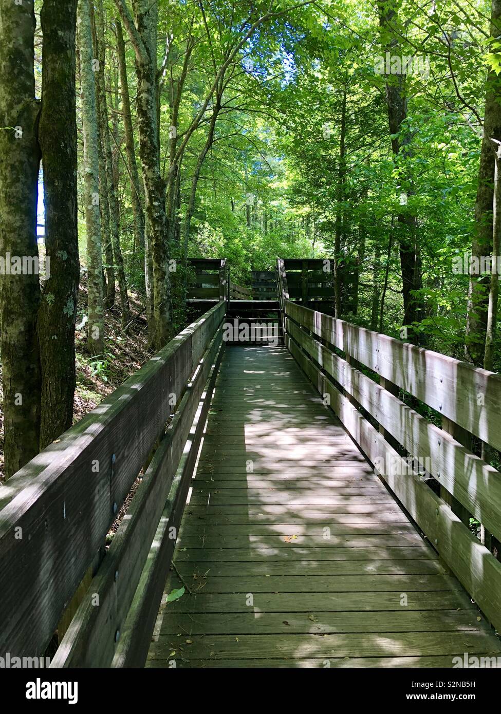 Woods boardwalk hi-res stock photography and images - Alamy
