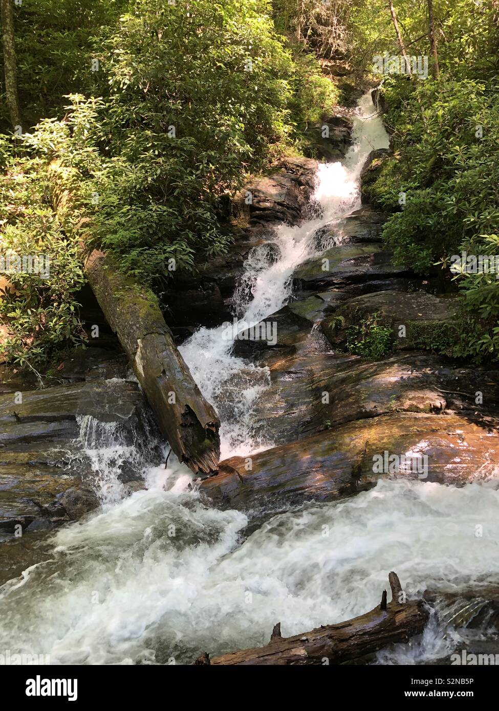 Chattahoochee national forest hi-res stock photography and images - Alamy