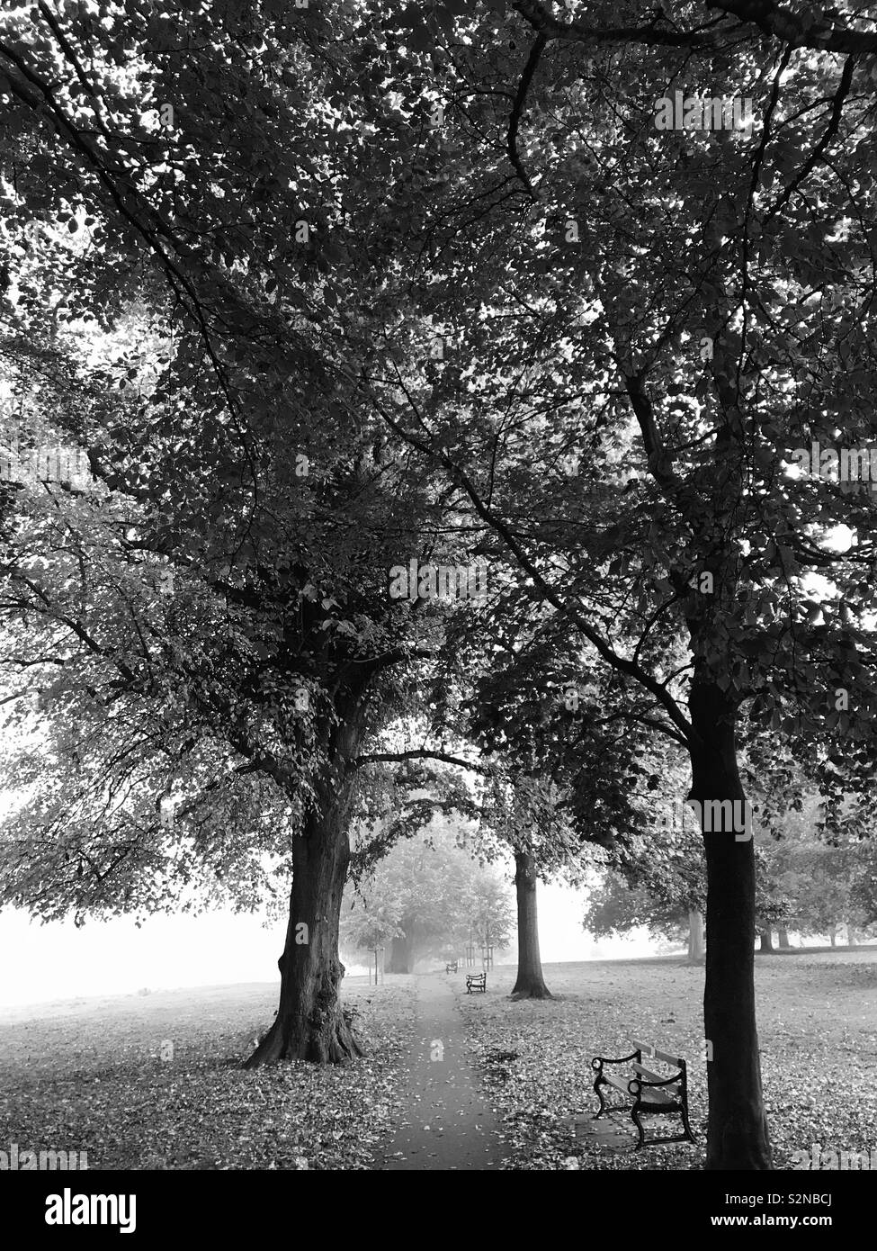 Black and white park scene hi-res stock photography and images - Alamy
