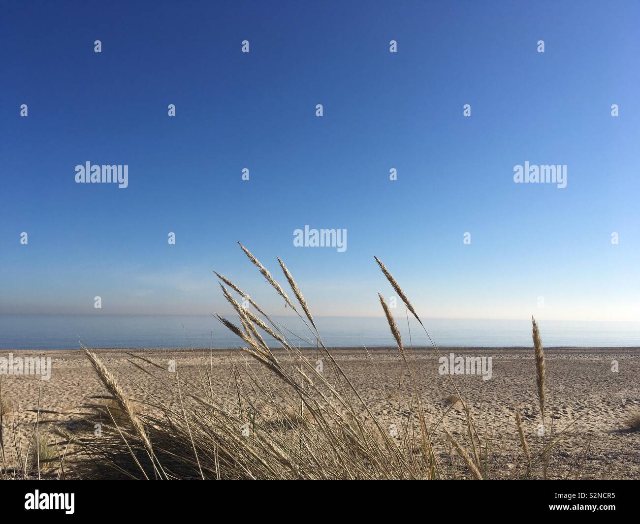 Beach scene through the dunes Stock Photo - Alamy