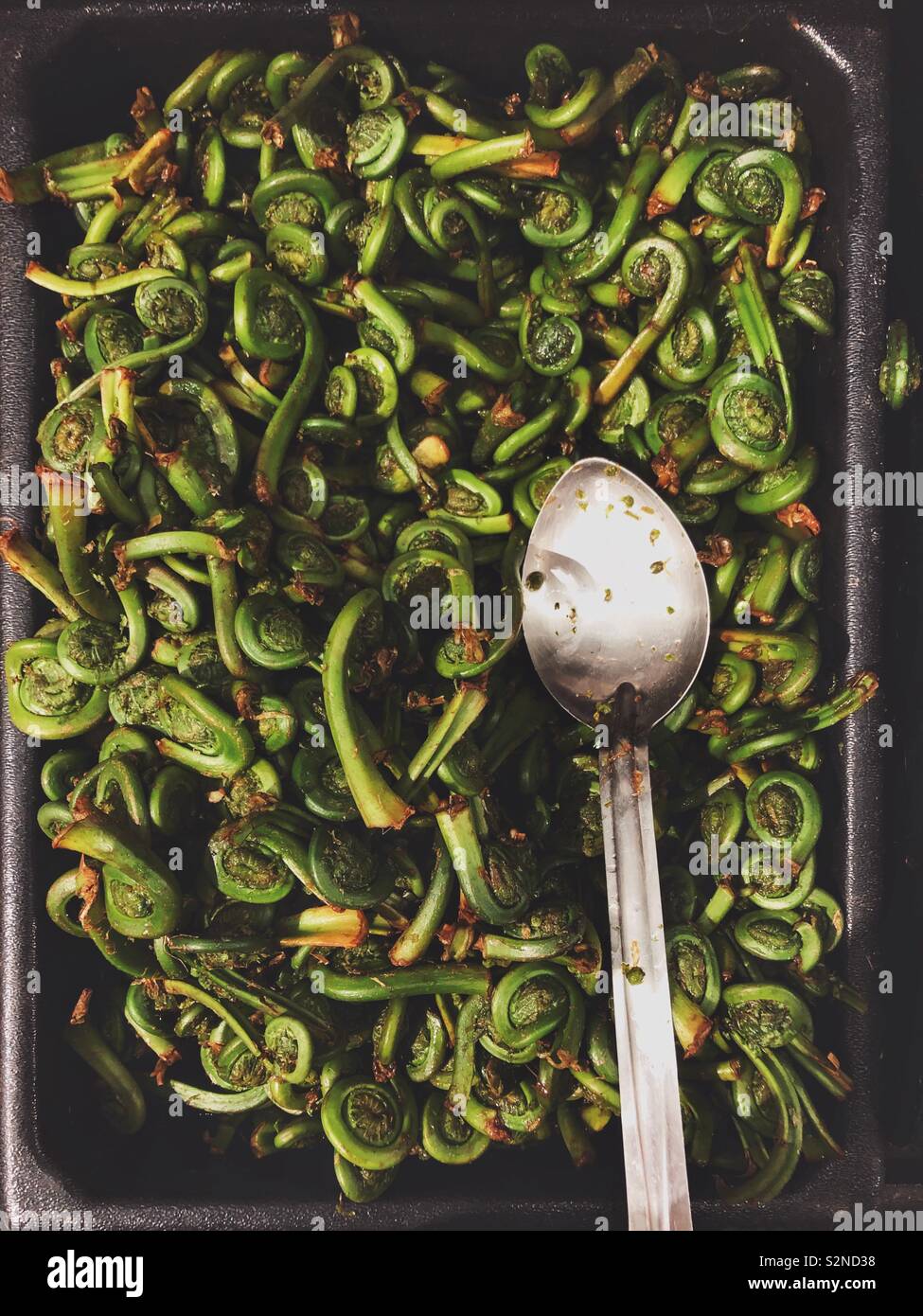 Fiddleheads fronds hi-res stock photography and images - Alamy