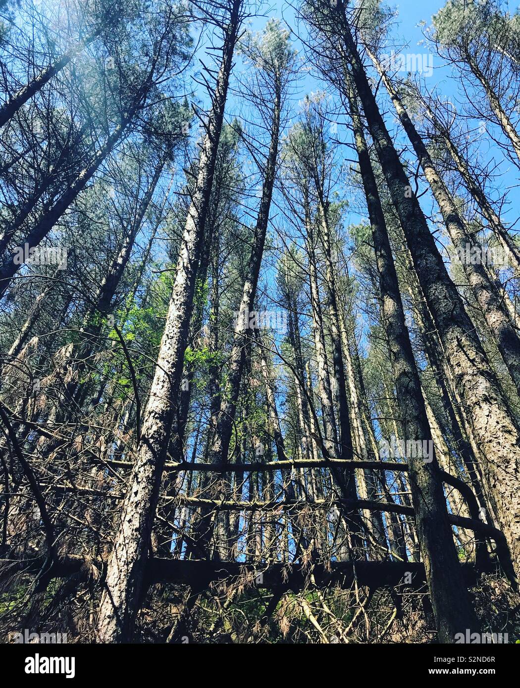 Dove stones hi-res stock photography and images - Alamy