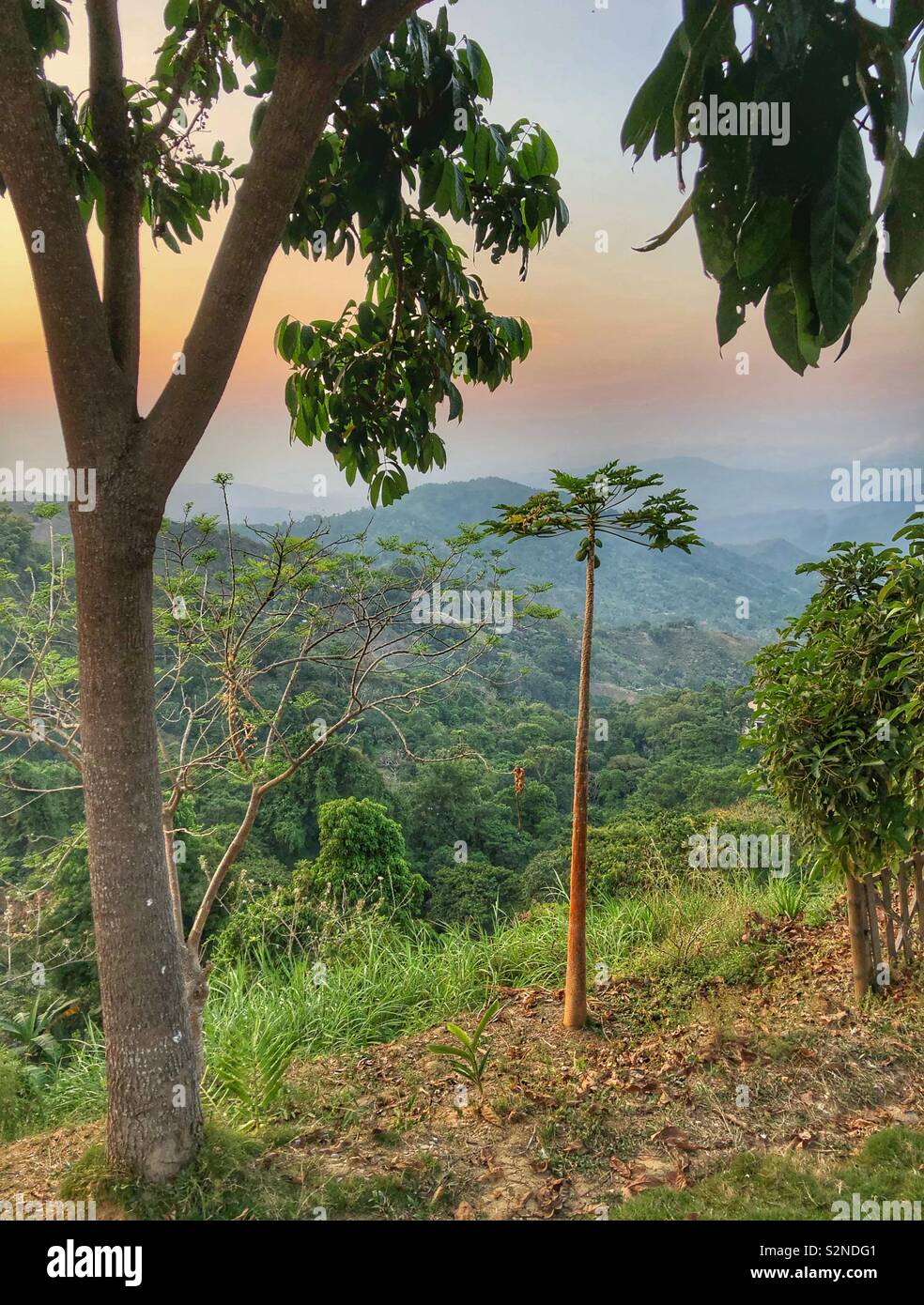 Scenic landscape - Sierra Nevada jungle and mountains in Santa Marta ...