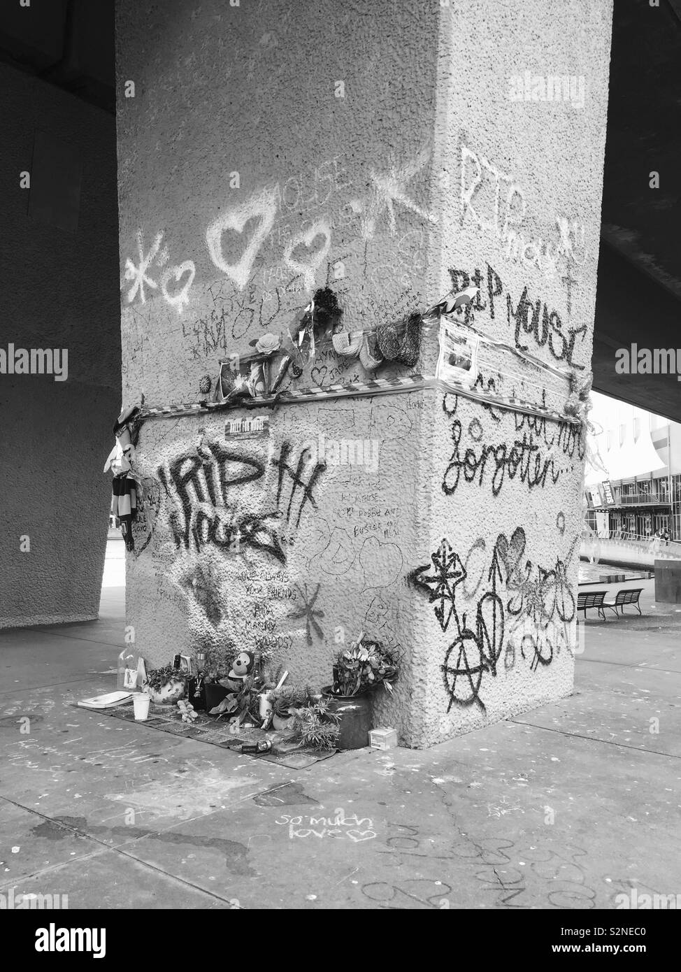 Black and white mouse Black and White Stock Photos & Images - Alamy