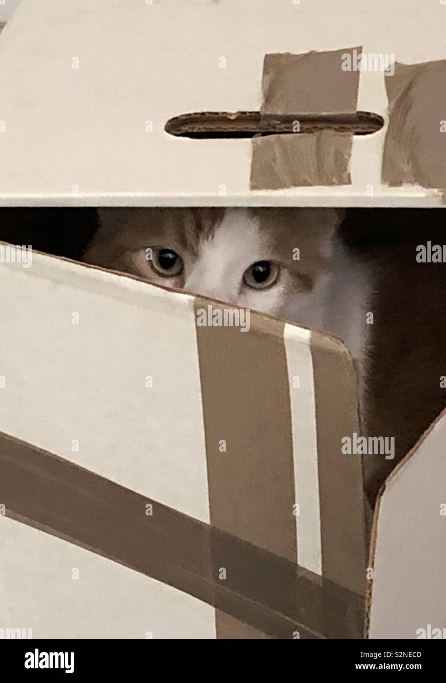 Alert box hi-res stock photography and images - Alamy