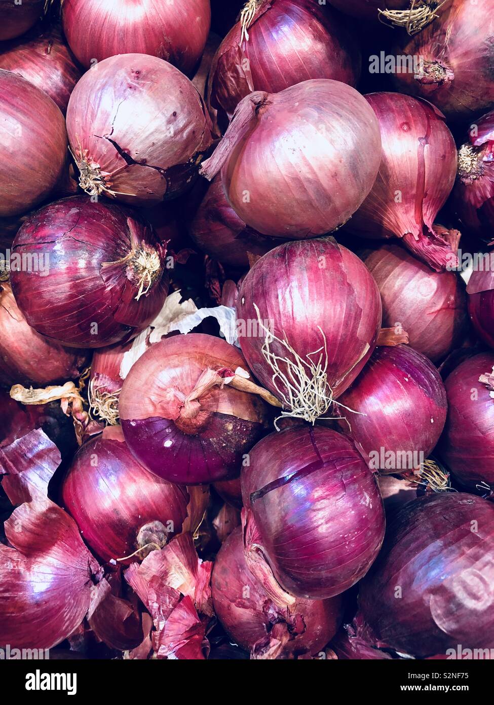 Onions display hi-res stock photography and images - Alamy