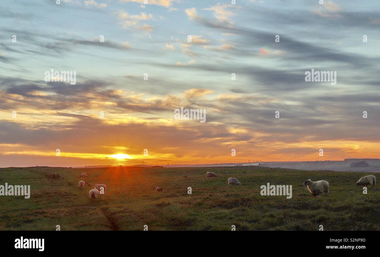 Maiden_castle High Resolution Stock Photography and Images - Alamy