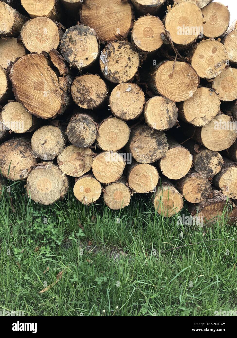 Piled logs hi-res stock photography and images - Alamy