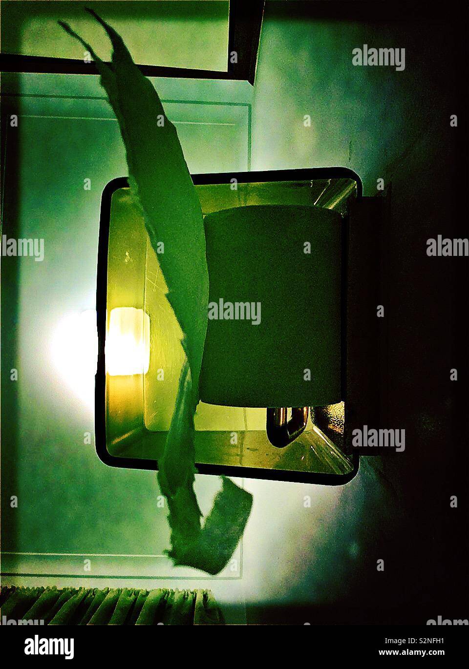 Toilet paper roll and holder. Vertical orientation Stock Photo - Alamy