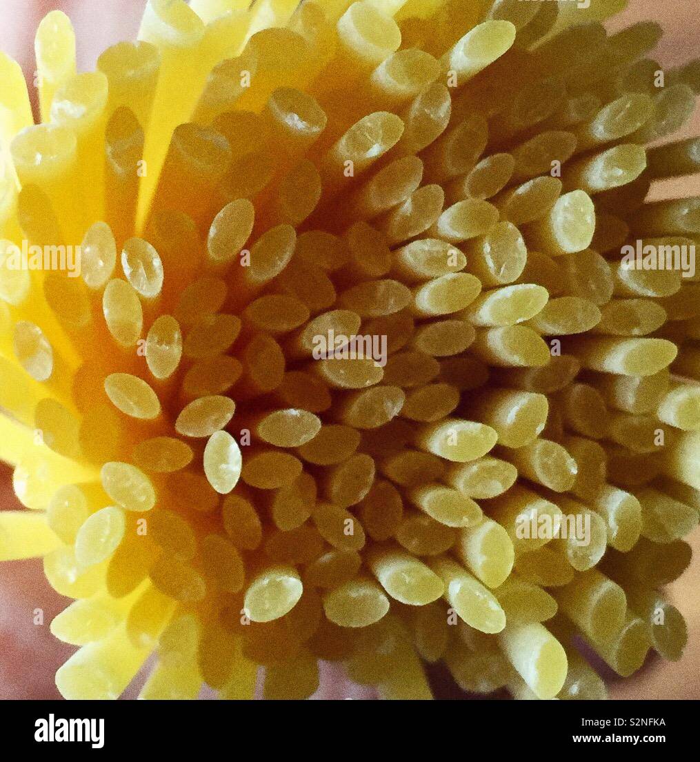 Dried linguine pasta profile hi-res stock photography and images - Alamy