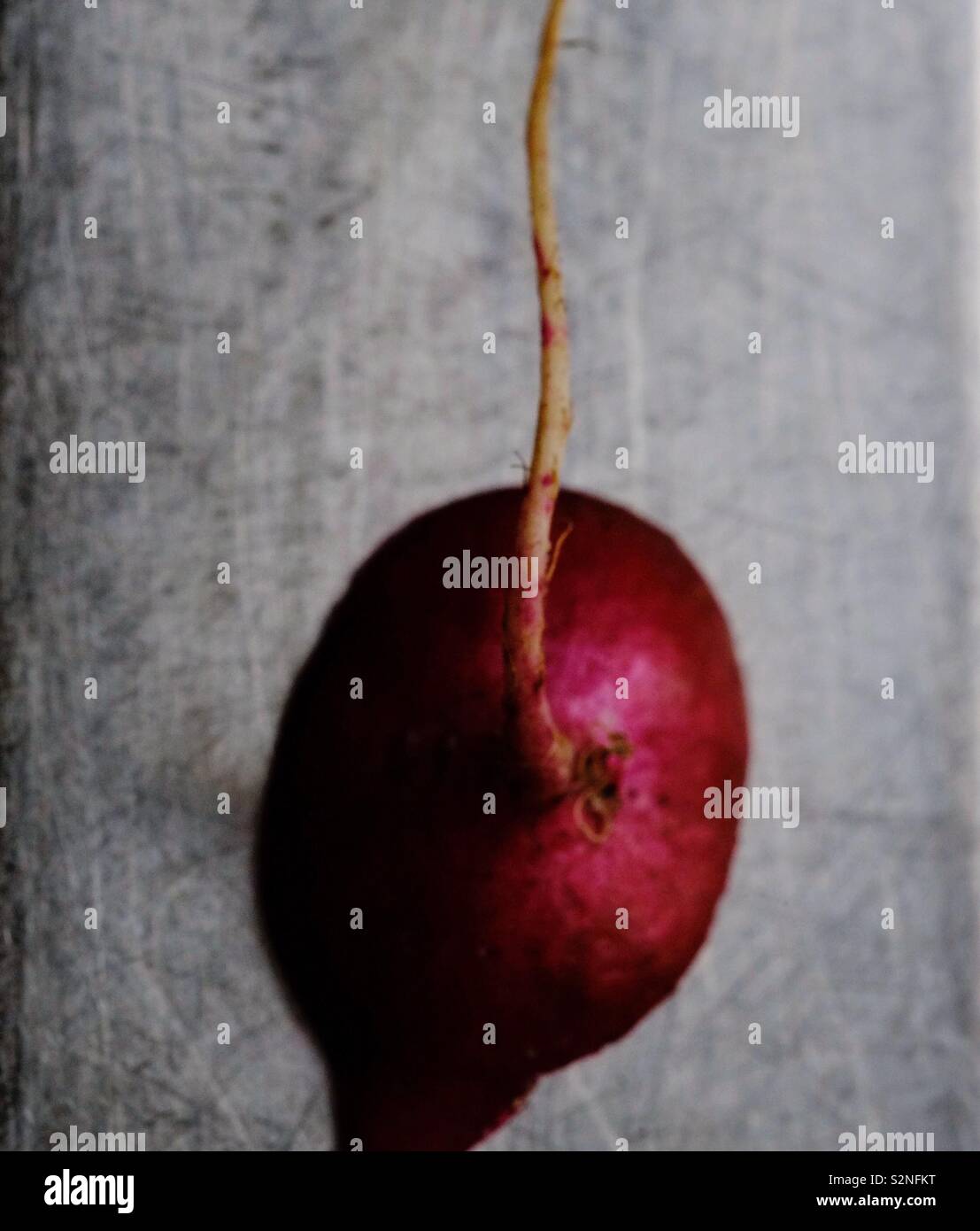 Hanging on by a thread Stock Photo - Alamy