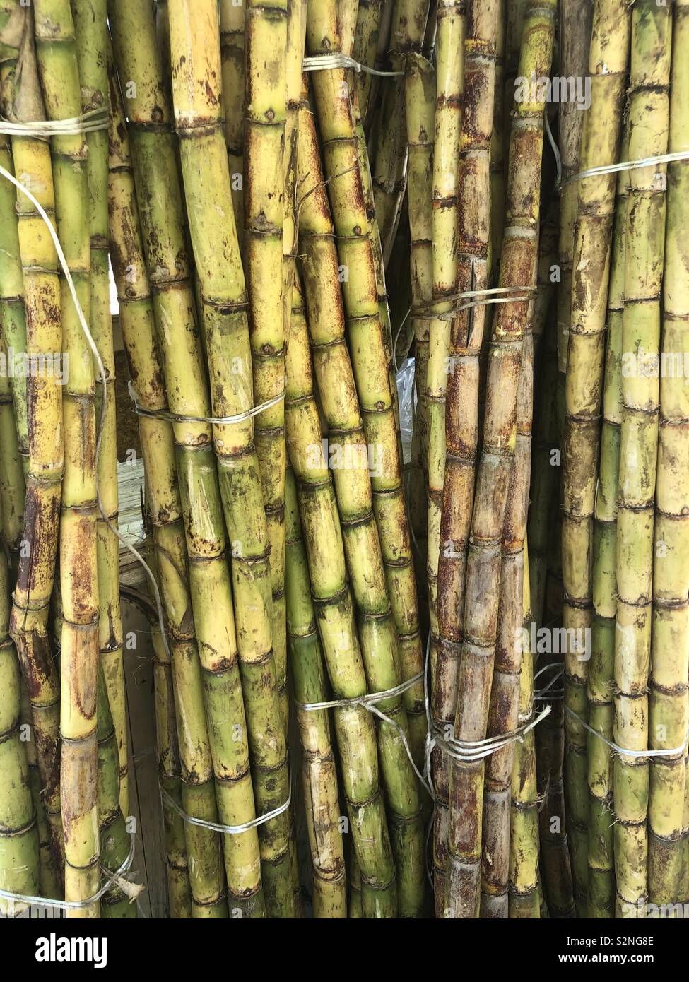 Sugar cane sticks hi-res stock photography and images - Alamy