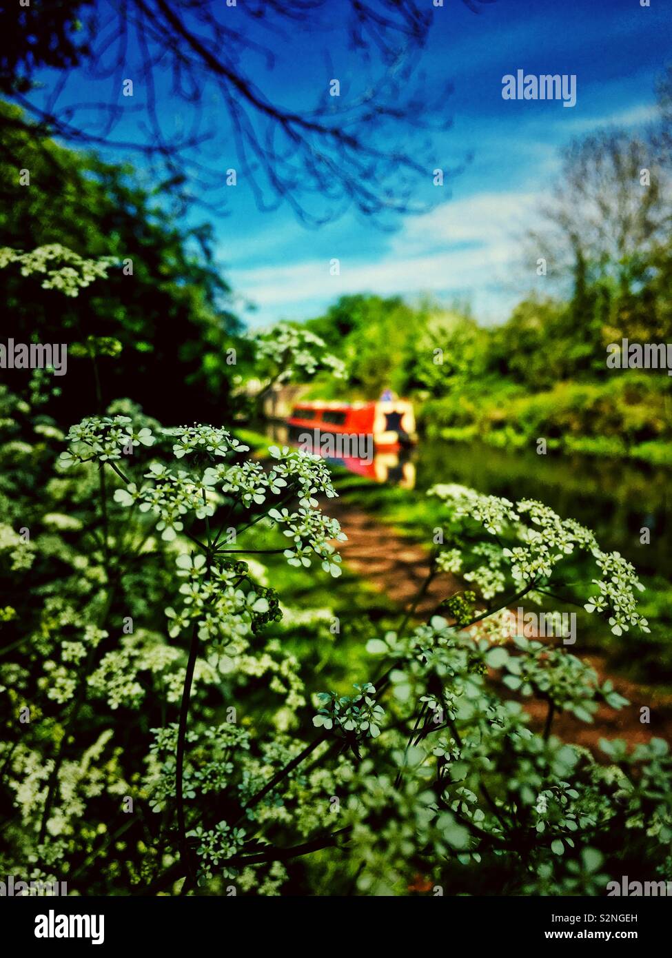 Canal walk canal walks hi-res stock photography and images - Alamy