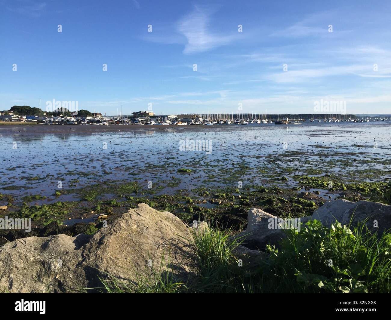 Whitecliff dorset hi-res stock photography and images - Alamy