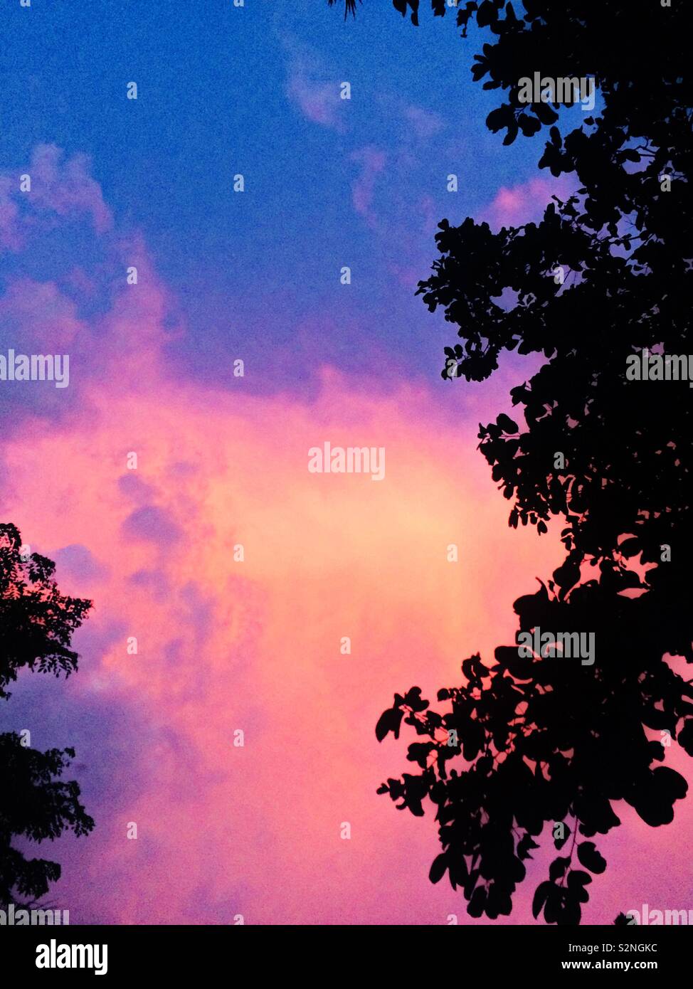 Nature’s natural glow Stock Photo - Alamy