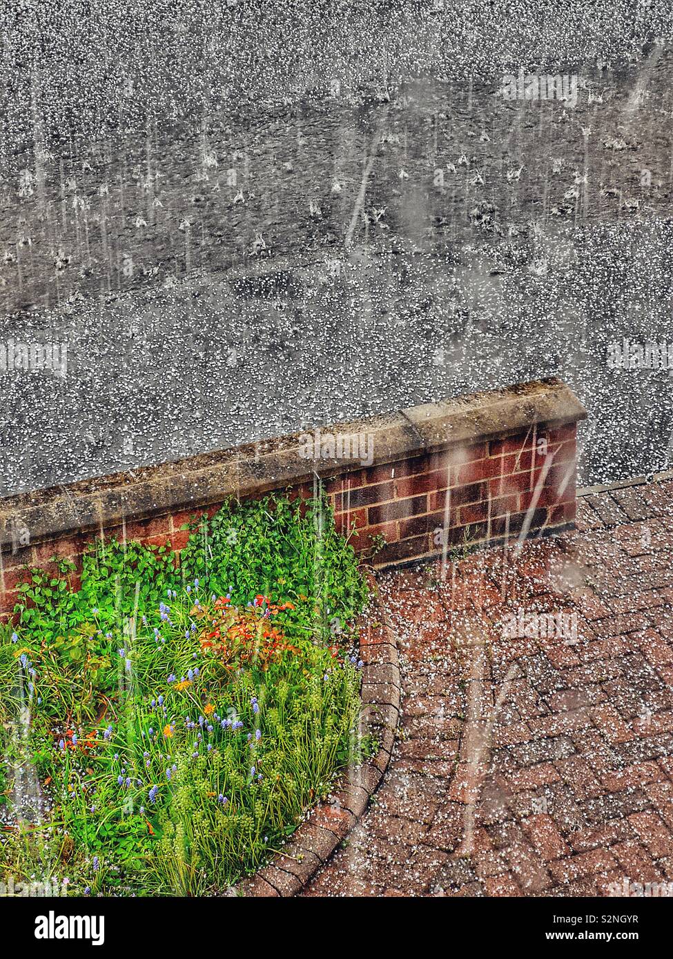 Heavy short sudden hailstone shower, Nottingham, England Stock Photo ...