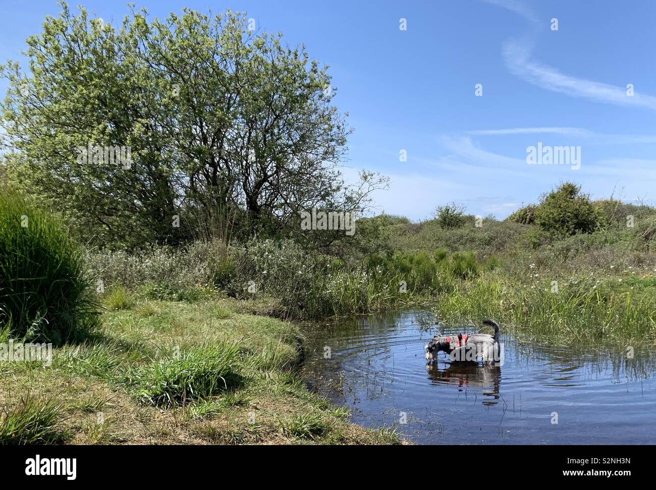 Kenfig pool wales hi-res stock photography and images - Alamy