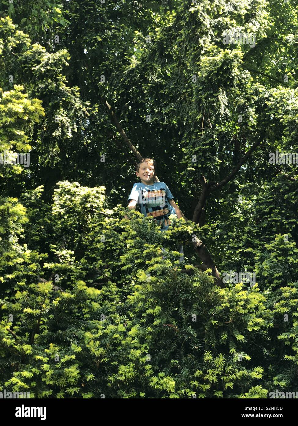 Child tree nature climb hi-res stock photography and images - Alamy