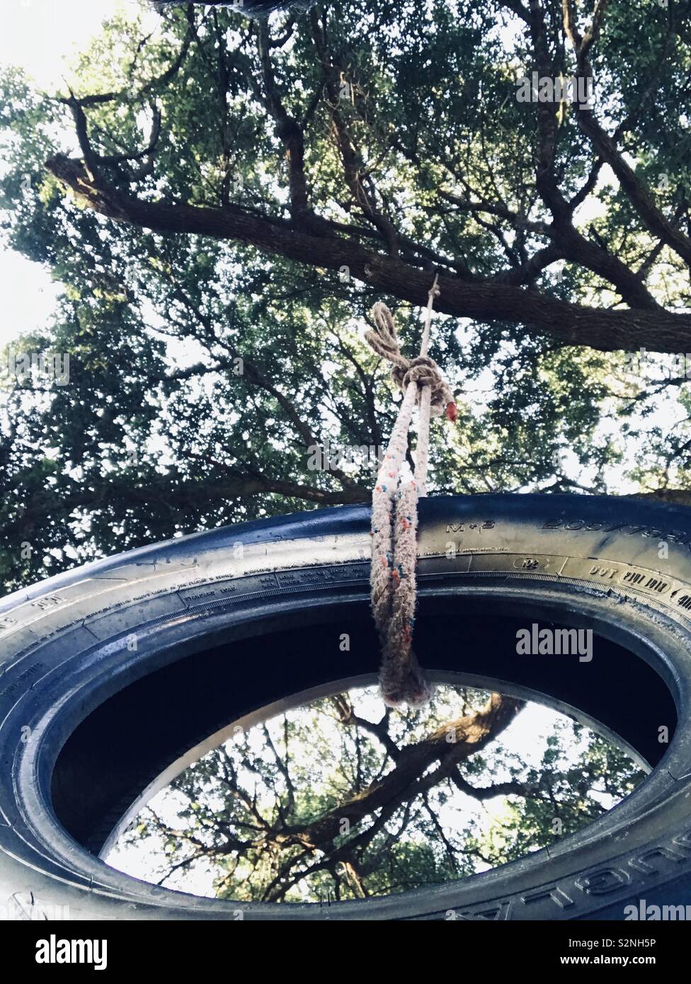 Tire swing tree hi-res stock photography and images - Alamy