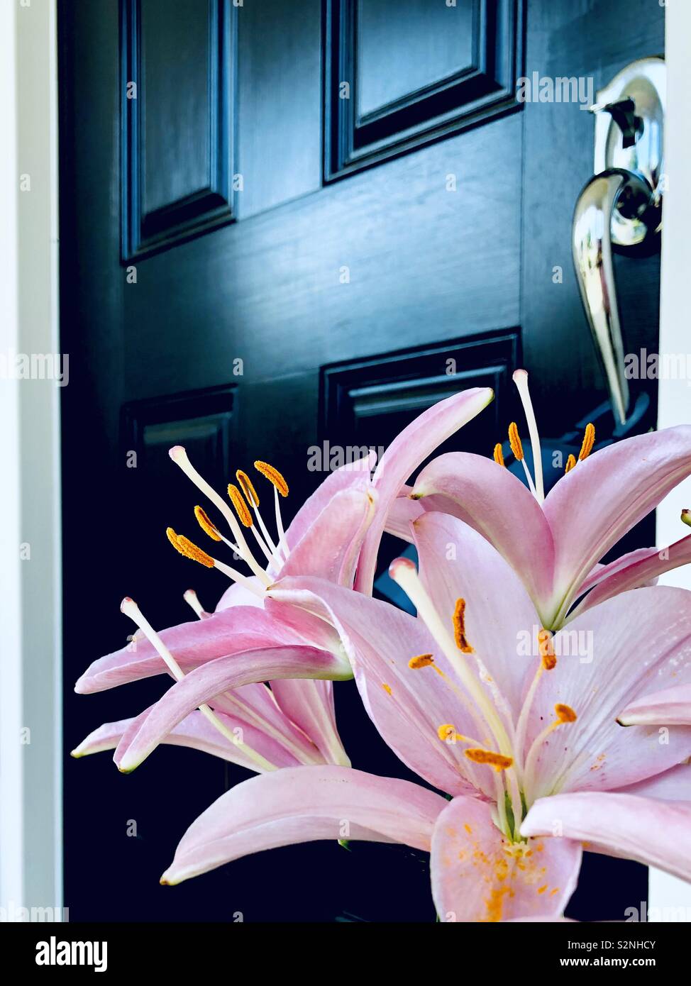 Pink front door hi-res stock photography and images - Alamy