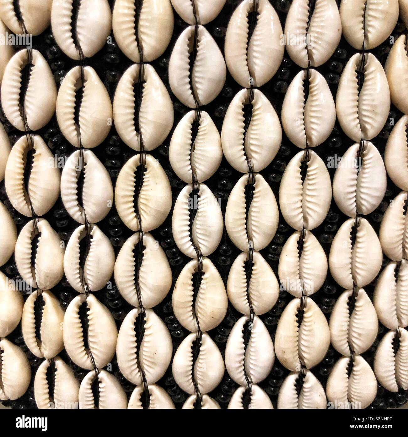 Shells in a row hi-res stock photography and images - Alamy