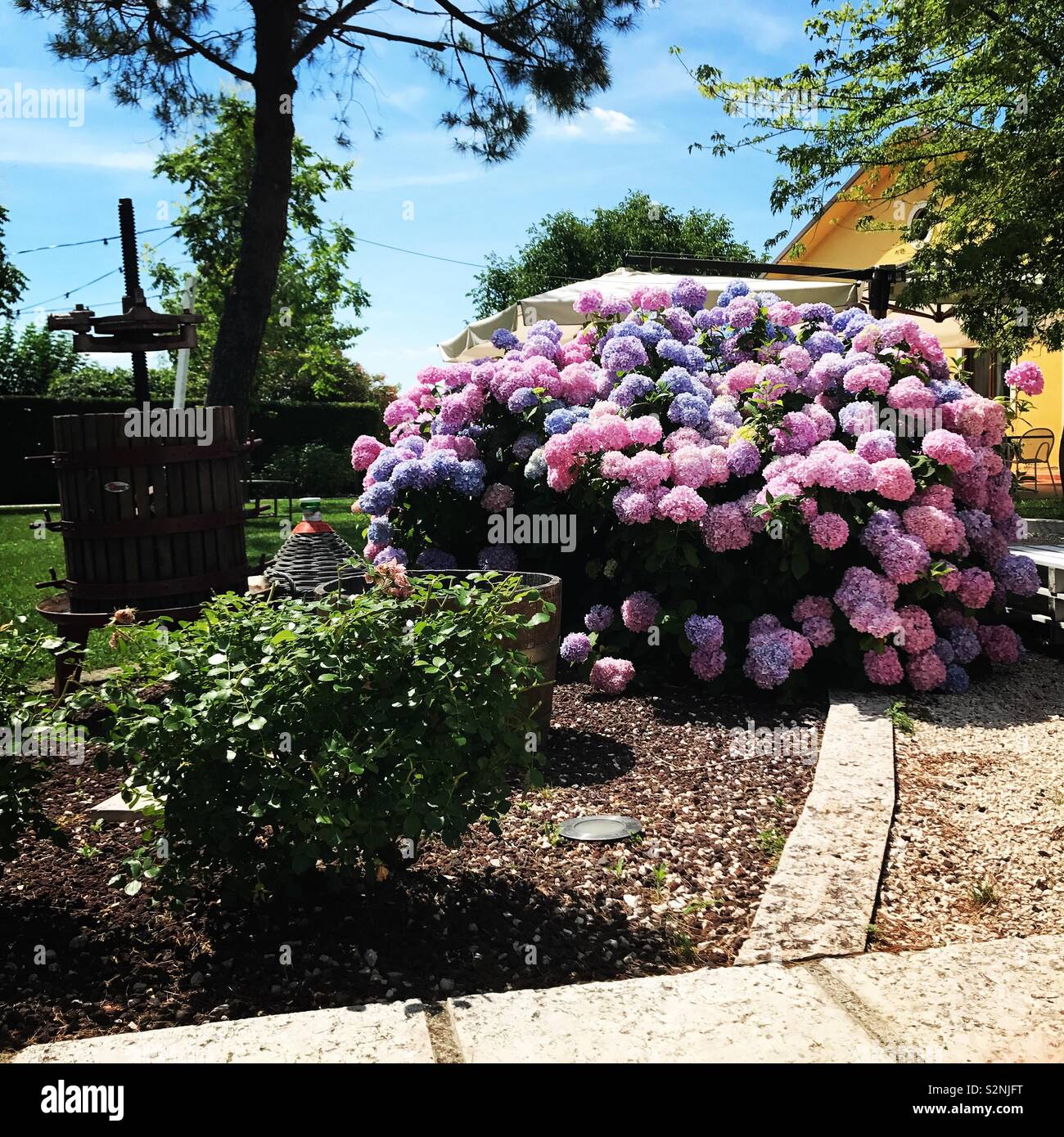 Italian spring flowers hi-res stock photography and images - Alamy