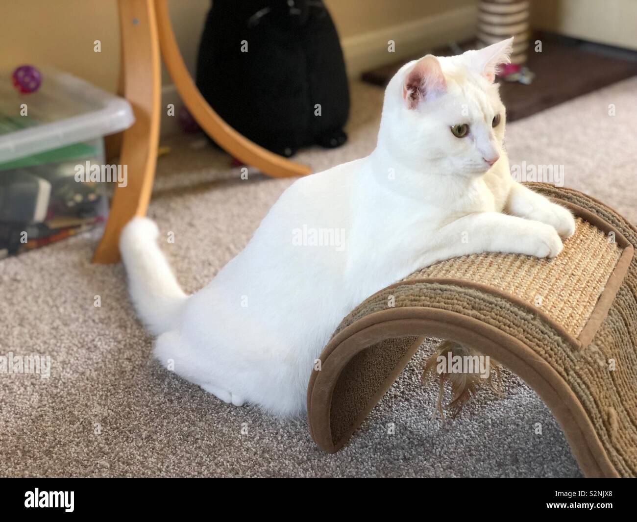 Princess Elsa High Resolution Stock Photography and Images - Alamy