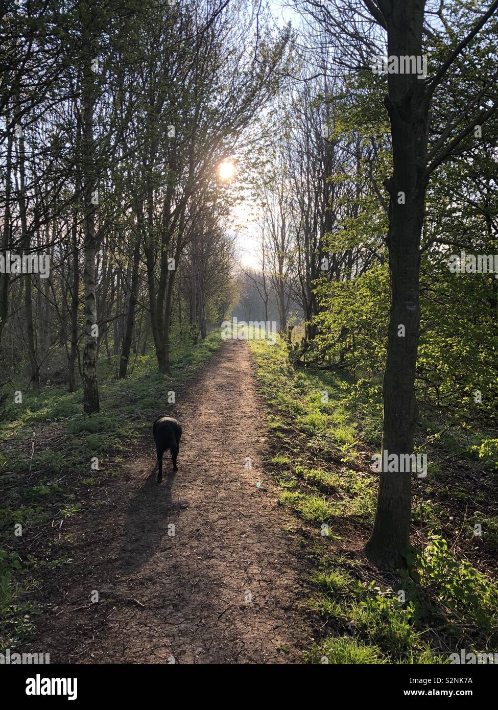 Early stroll hi-res stock photography and images - Alamy