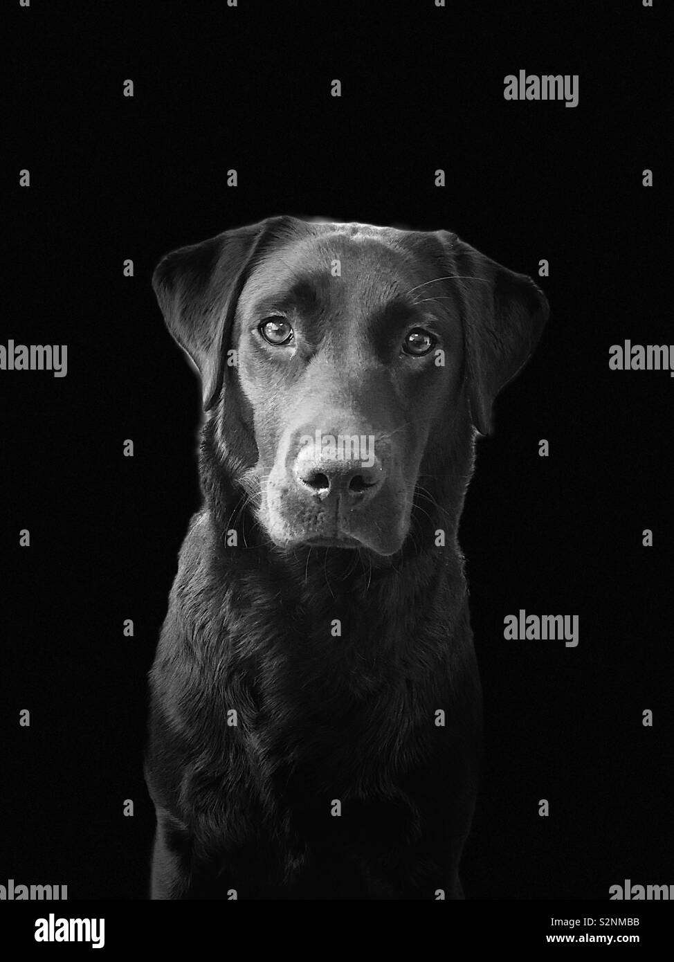 Lab girl hi-res stock photography and images - Alamy