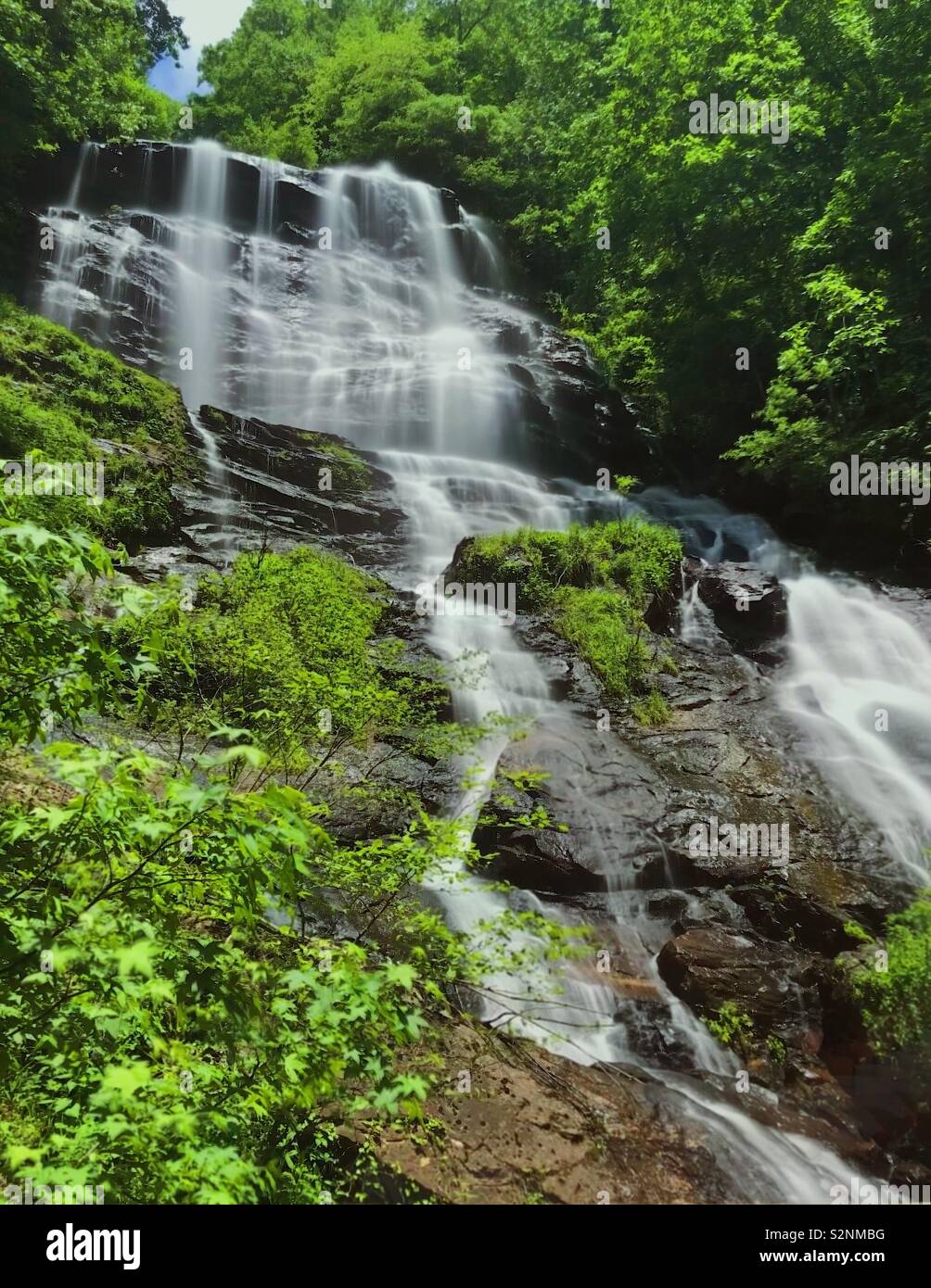 Amicalola falls state park hi-res stock photography and images - Alamy