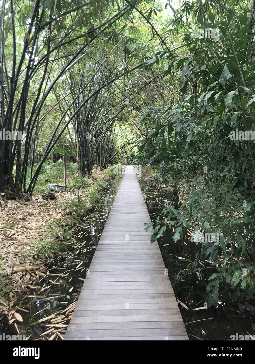 Bamboo walkway hi-res stock photography and images - Alamy