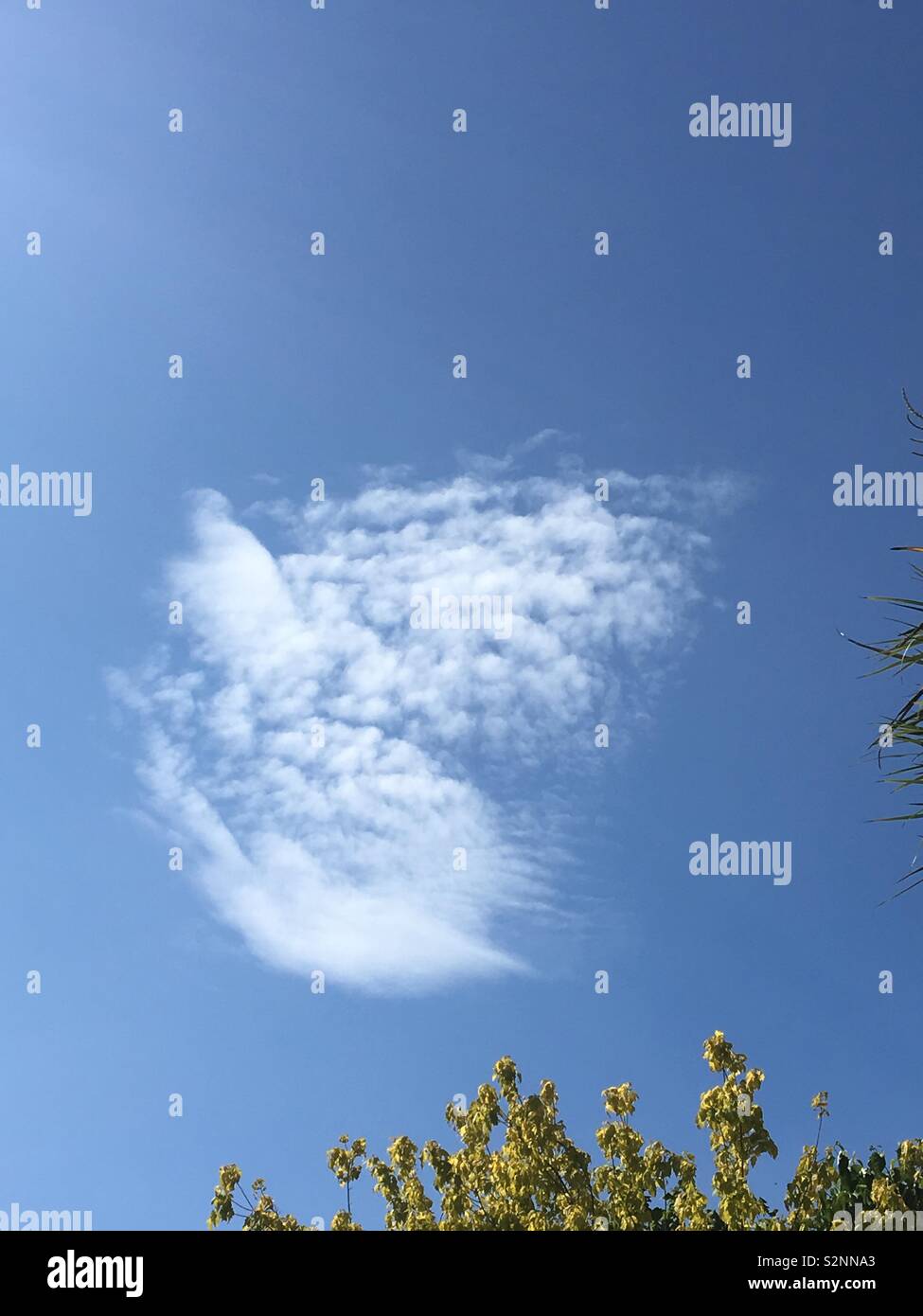 Perfect blue when hi-res stock photography and images - Alamy