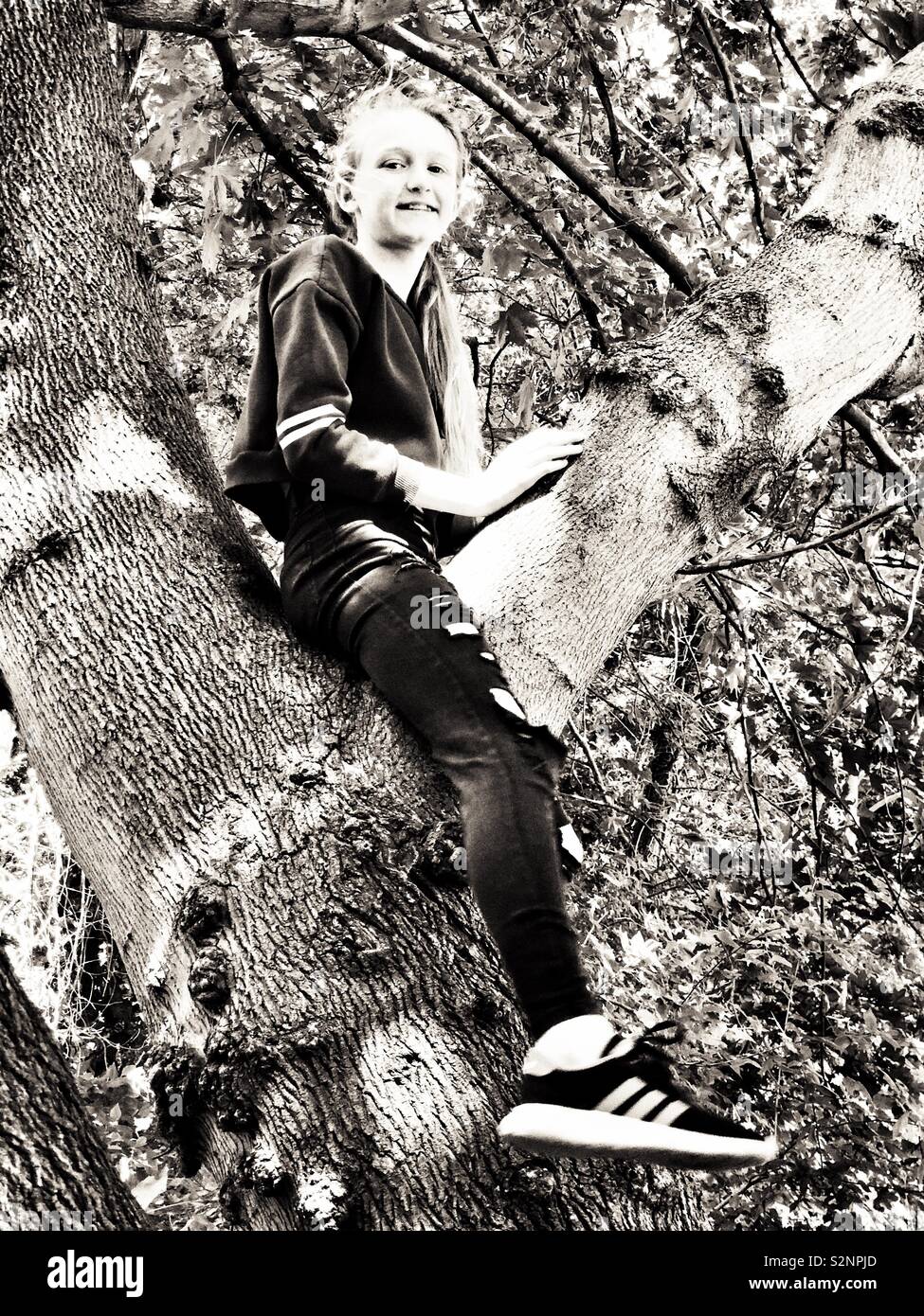 Way up high Stock Photo - Alamy