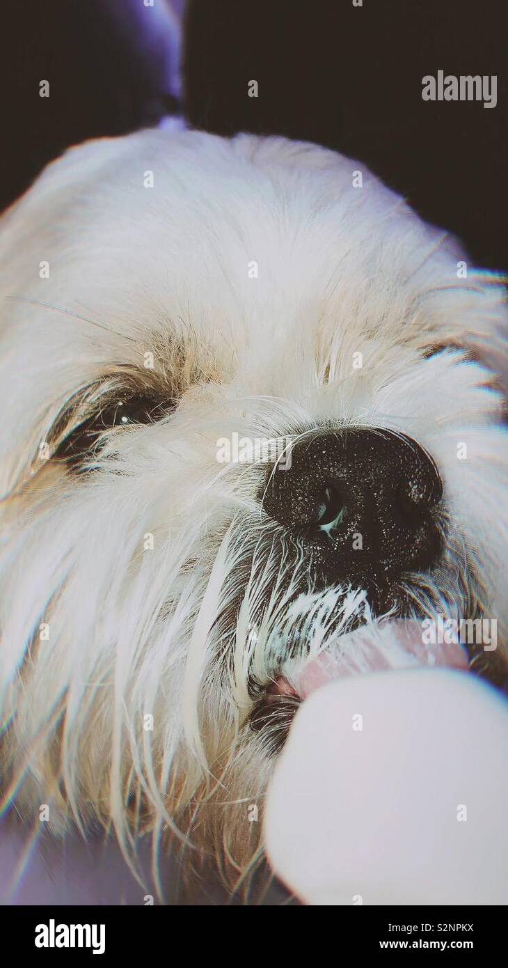 Mmmmm hi-res stock photography and images - Alamy