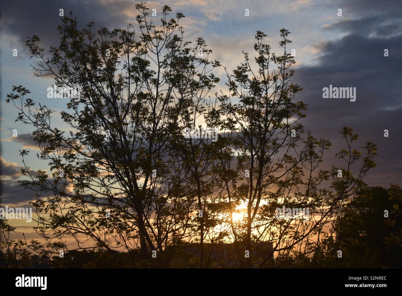 Early morning sunrise Stock Photo - Alamy