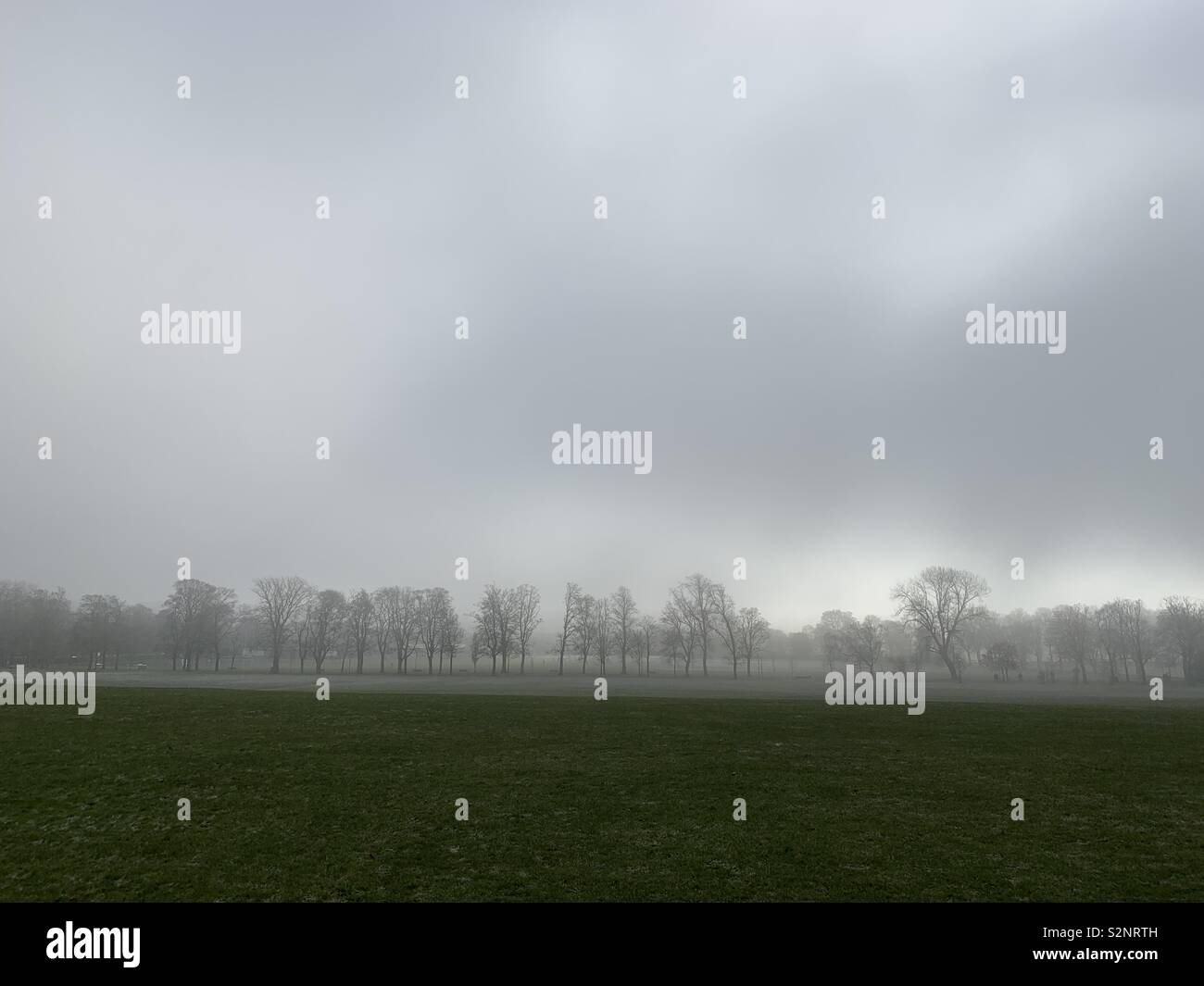 Inverleith park edinburgh hi-res stock photography and images - Alamy