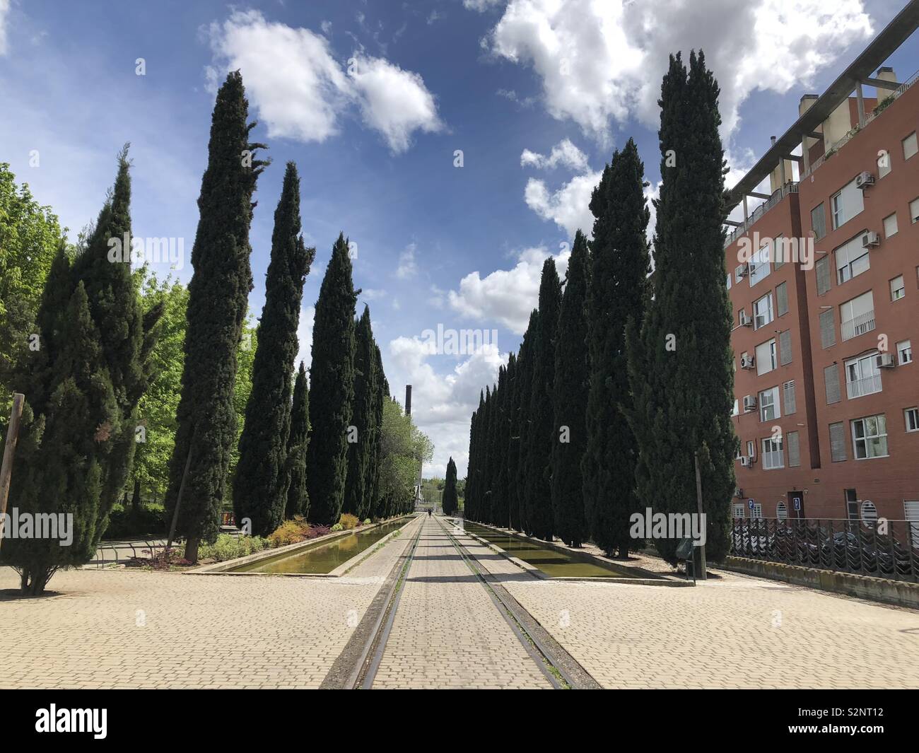 Railway trees hi-res stock photography and images - Alamy