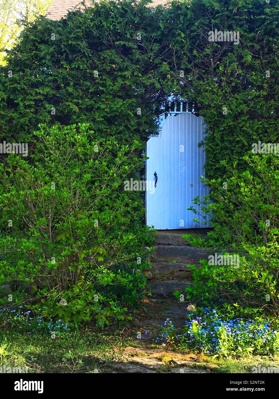 Hedge with gate hi-res stock photography and images - Alamy