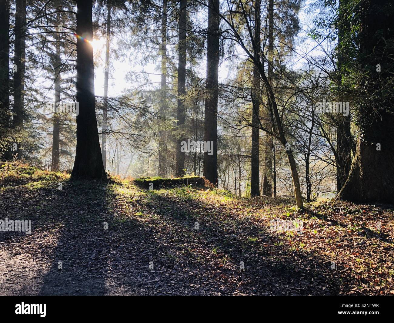 Dalby forest hi-res stock photography and images - Alamy